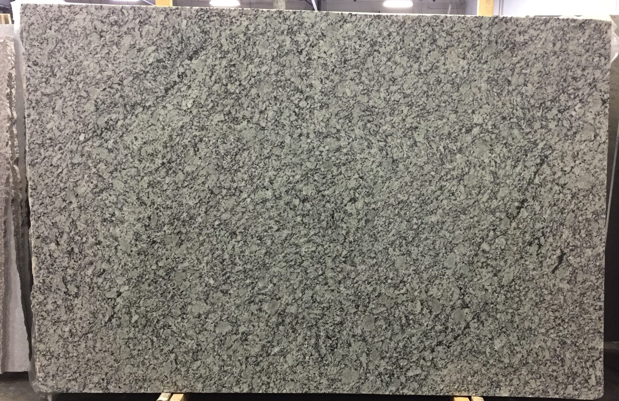 Bianco Primata Stone Profile | Divine Stoneworks