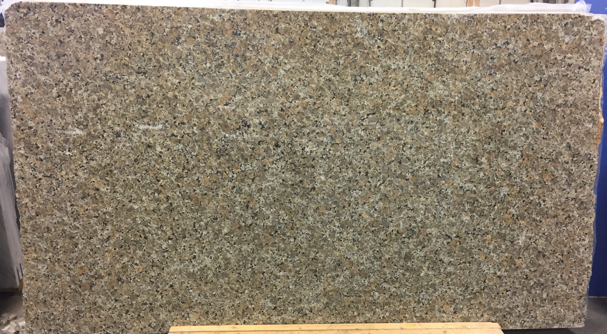 Butterfly Beige - Divine Stoneworks