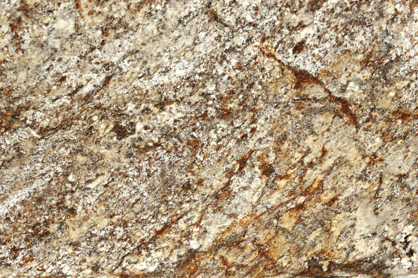 Cappella Veincut Azerobact Stone Profile | Divine Stoneworks