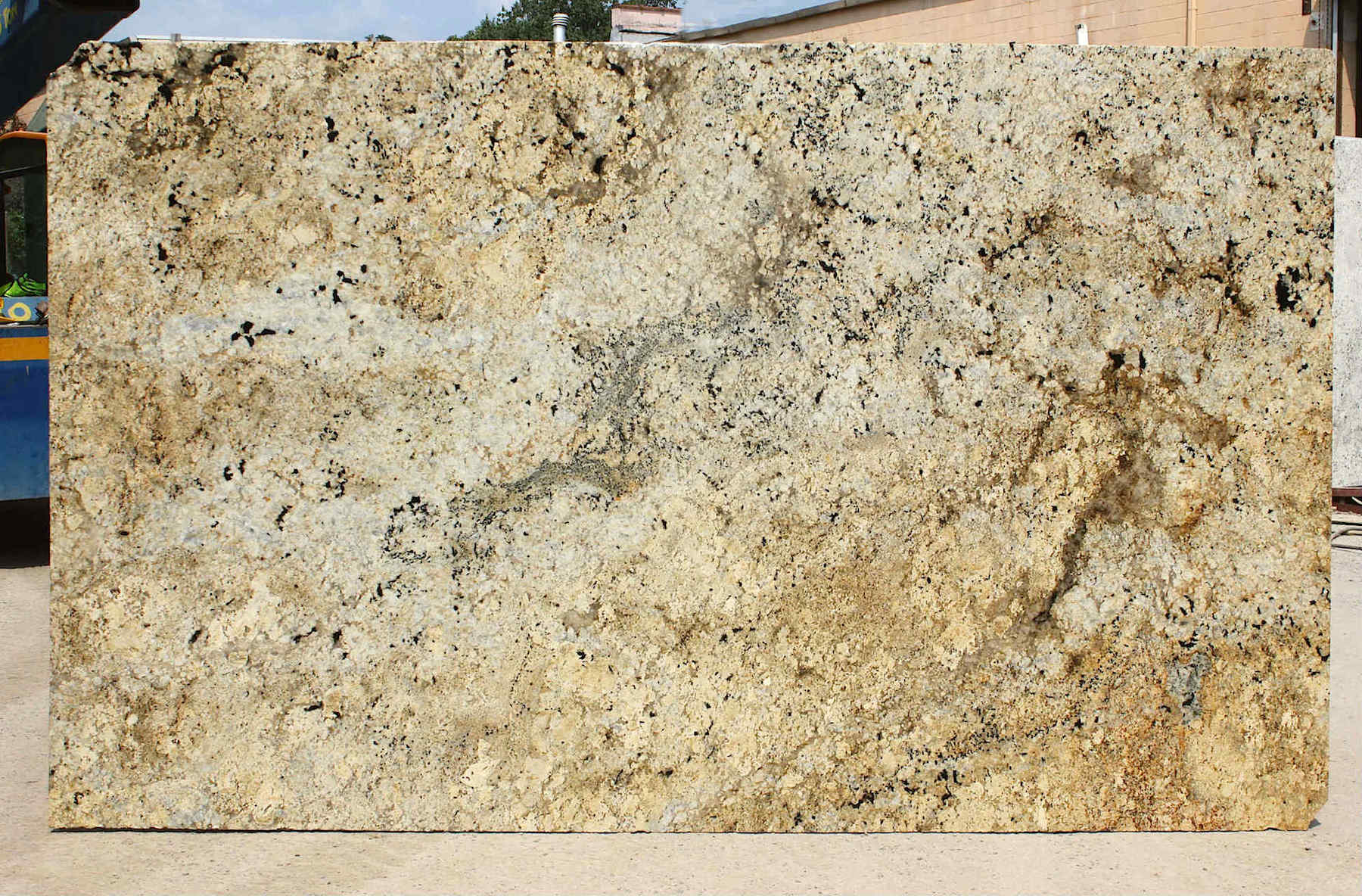 Crema Beach Azerobact Stone Profile | Divine Stoneworks